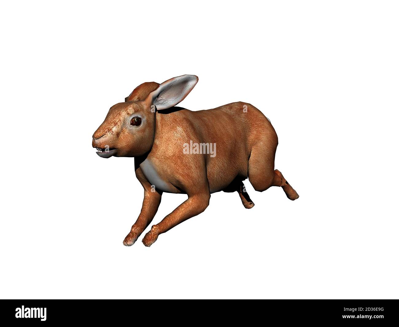 Rabbit bunny hop hopping Cut Out Stock Images & Pictures - Alamy