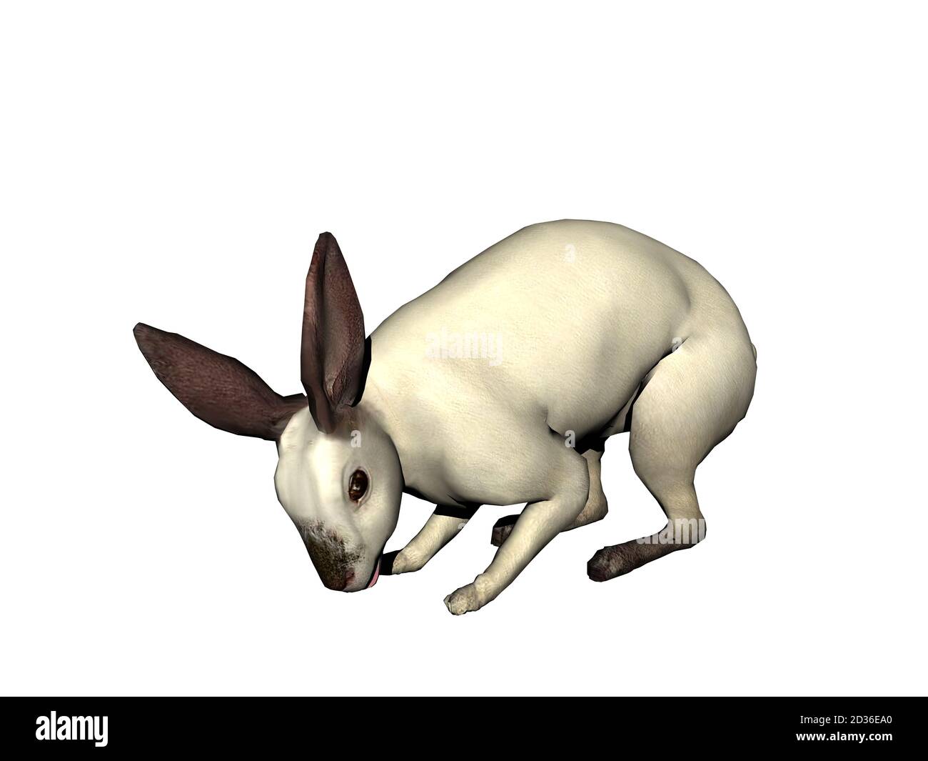 hopping and jumping rabbit with floppy ears Stock Photo - Alamy