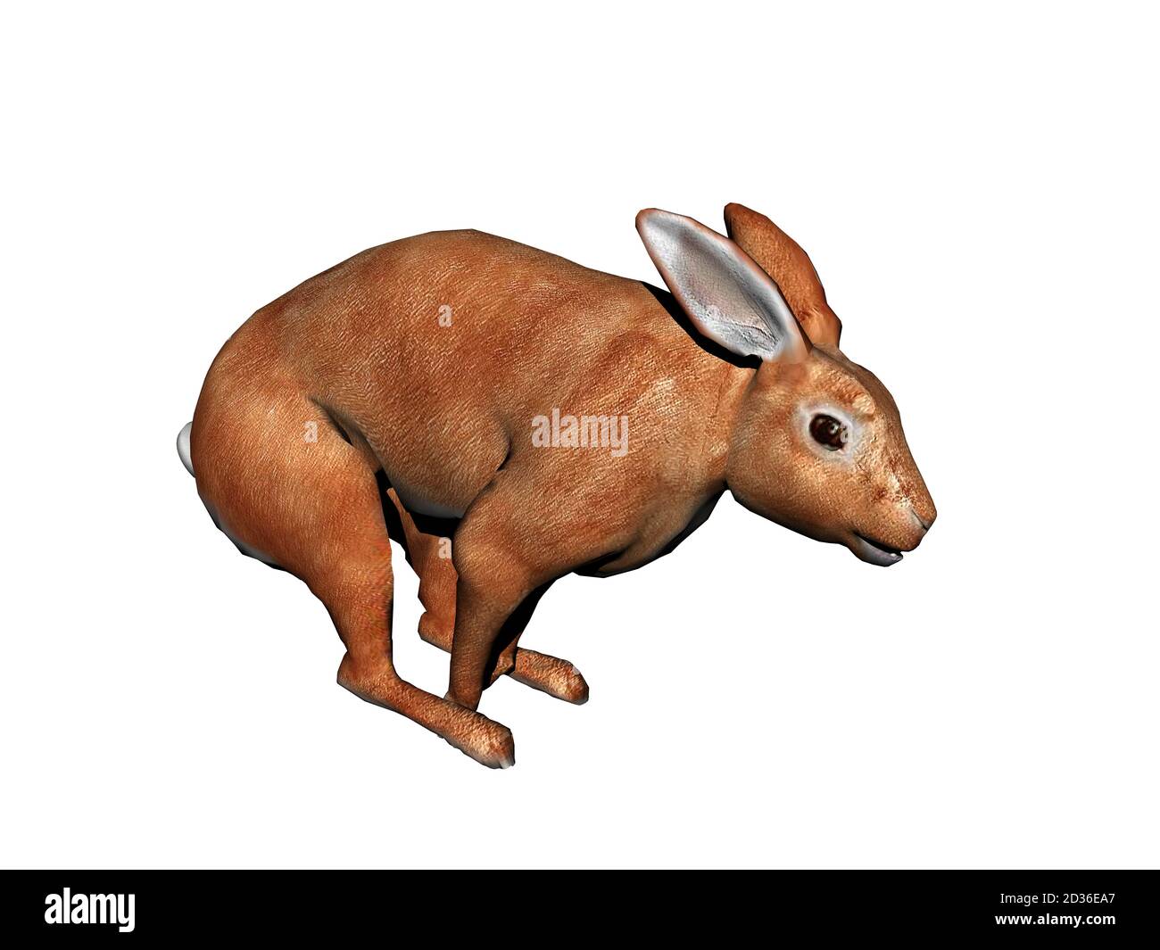 hopping and jumping rabbit with floppy ears Stock Photo - Alamy