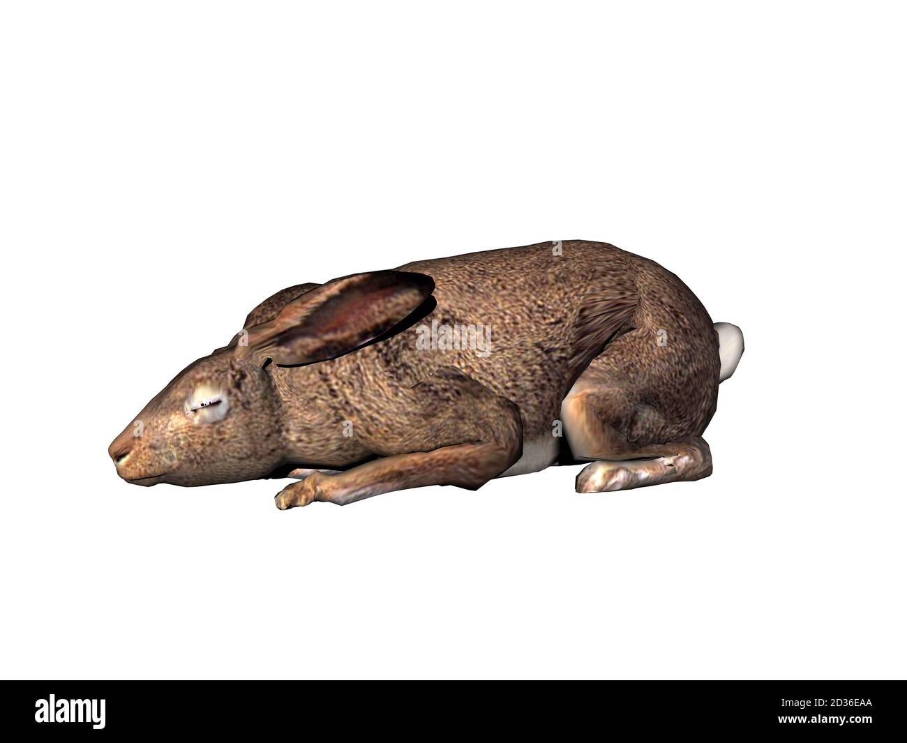 hopping and jumping rabbit with floppy ears Stock Photo - Alamy
