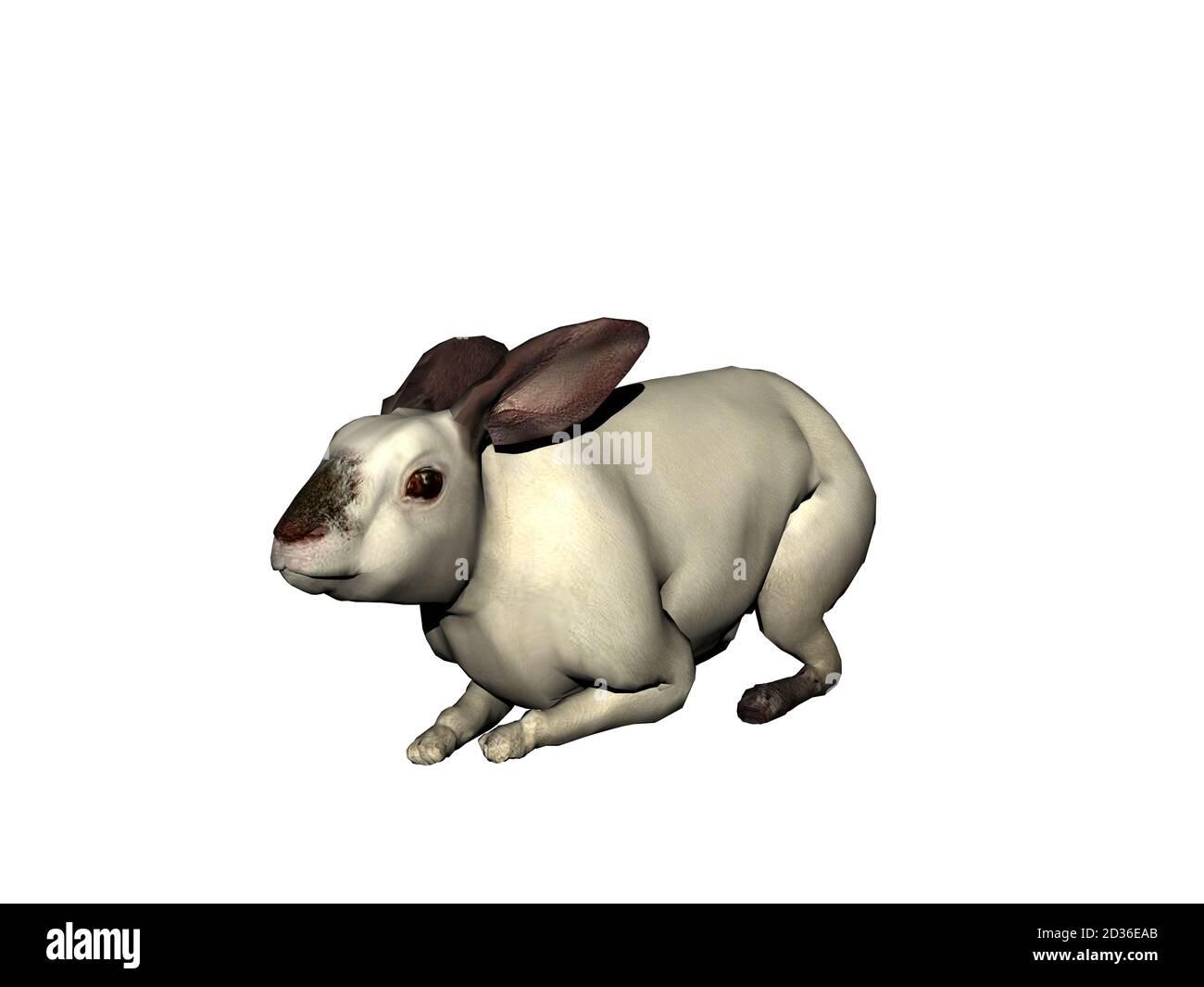 hopping and jumping rabbit with floppy ears Stock Photo - Alamy