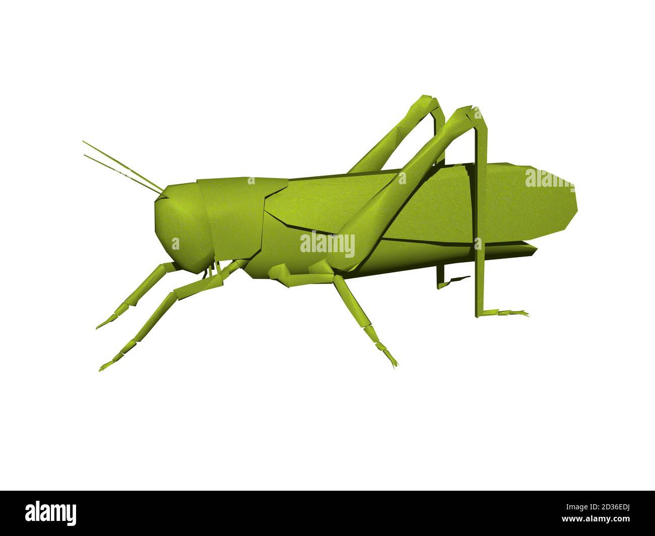 Long legs insects Cut Out Stock Images & Pictures - Alamy