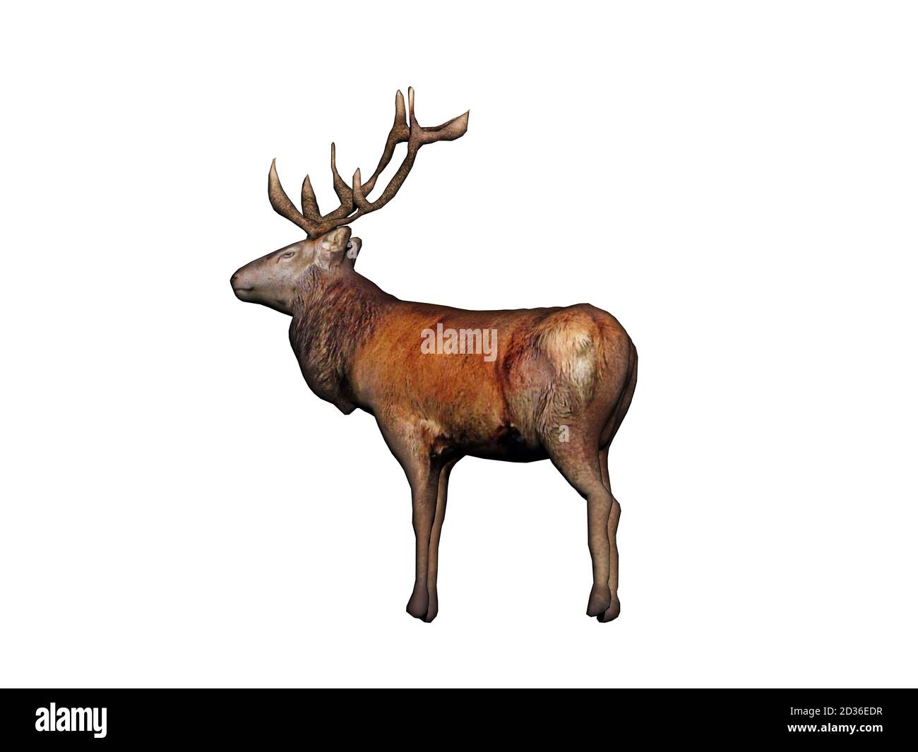 handsome deer with mighty antlers Stock Photo - Alamy