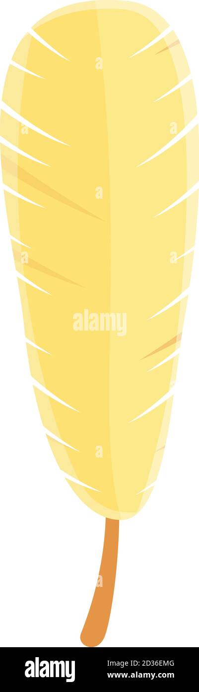 Turkey feather icon. Cartoon of turkey feather vector icon for web ...