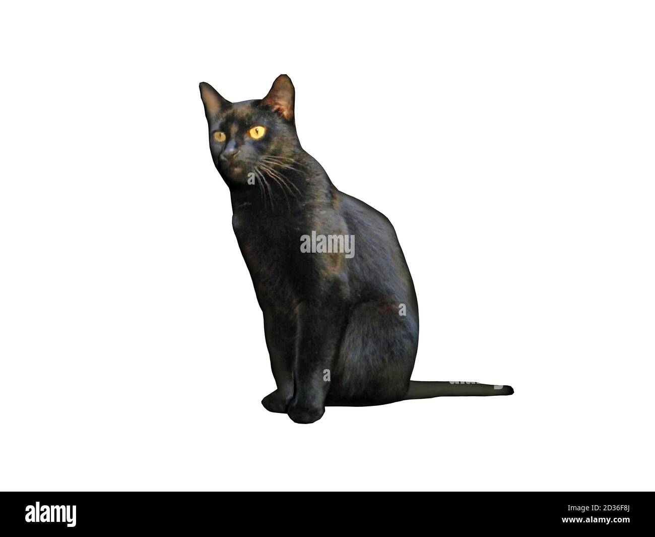 Scary cat eyes Cut Out Stock Images & Pictures - Alamy
