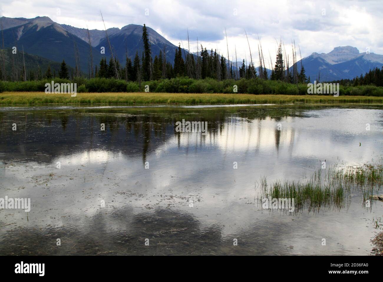 Beautiful landscape inside the Banff National Park Canada Stock Photo ...
