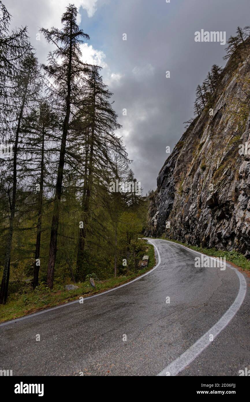 Mountain way on Alps with pine trees on side Stock Photo - Alamy