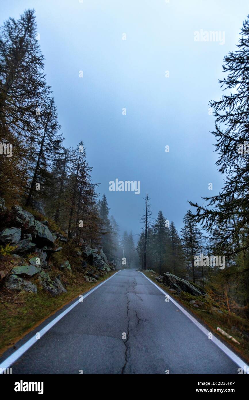 Mountain way on Alps with pine trees on side Stock Photo - Alamy