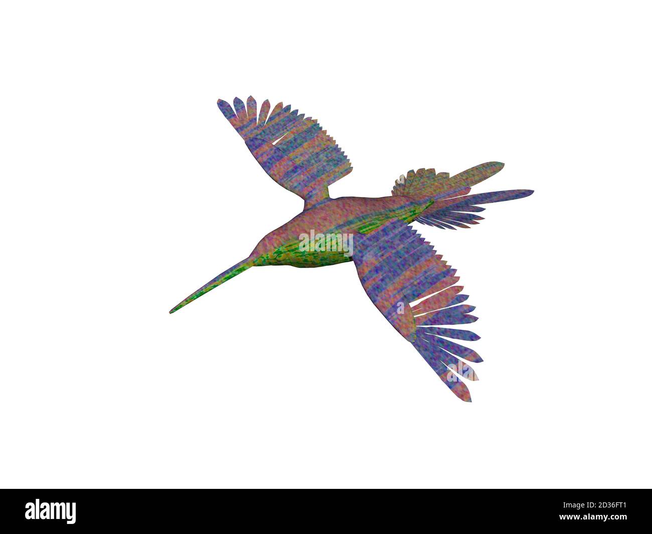 little bird on thin legs Stock Photo - Alamy