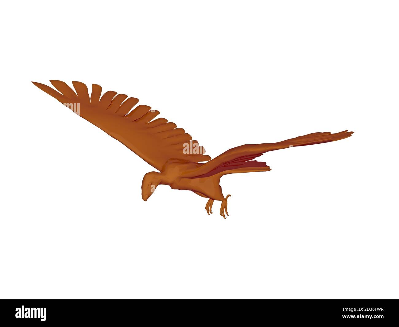 Bird of prey with a sharp beak looks for prey Stock Photo - Alamy