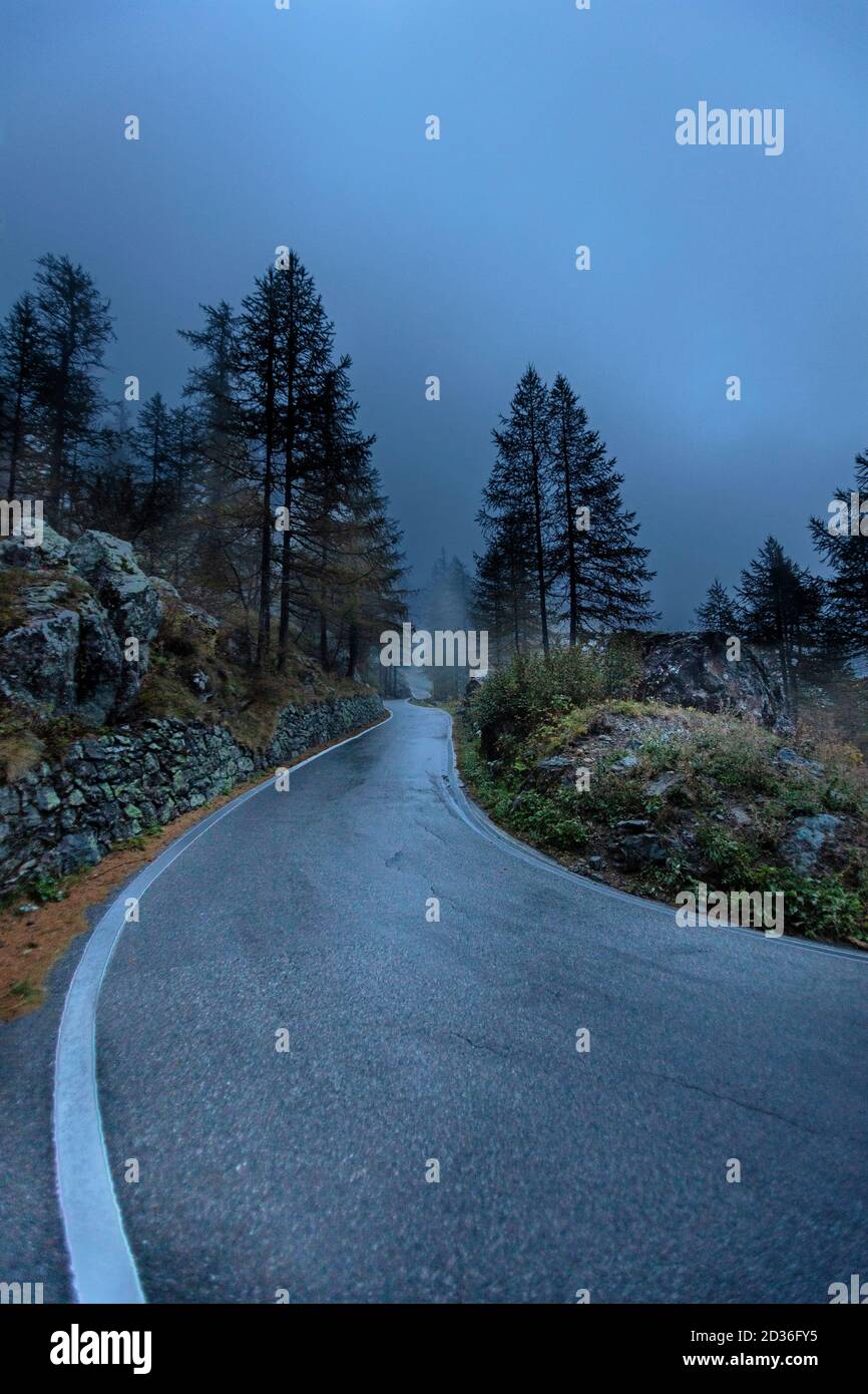 Mountain way on Alps with pine trees on side Stock Photo - Alamy