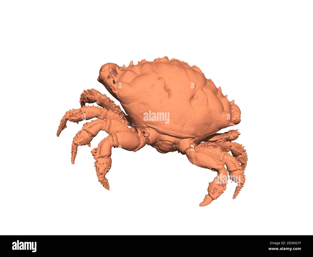 Scissors legs hi-res stock photography and images - Alamy