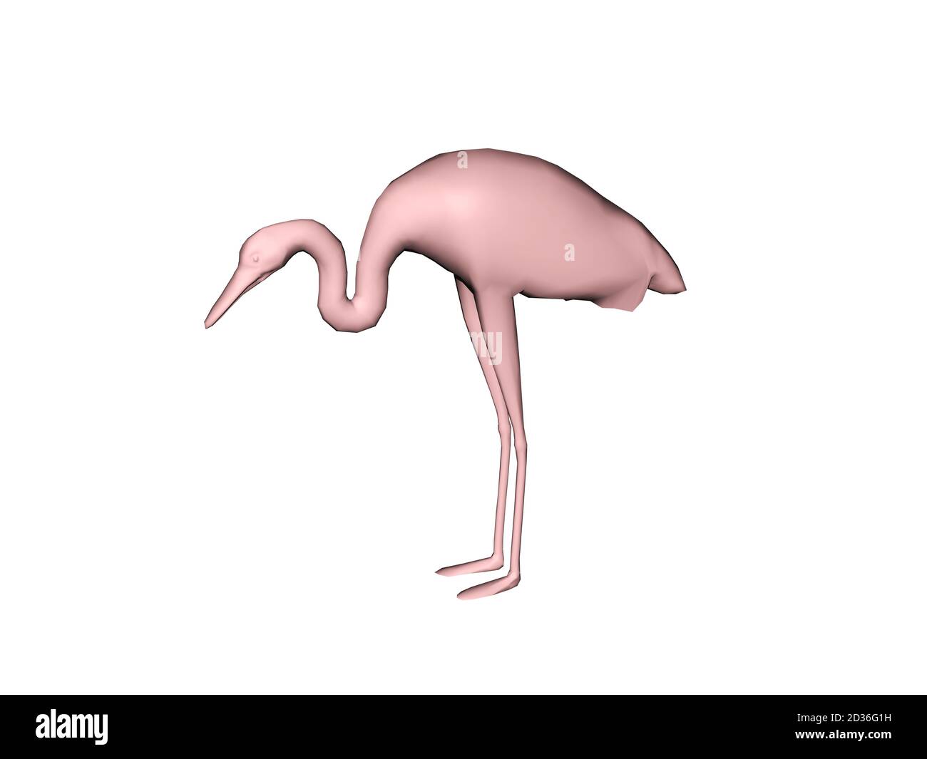 little bird on thin legs Stock Photo - Alamy