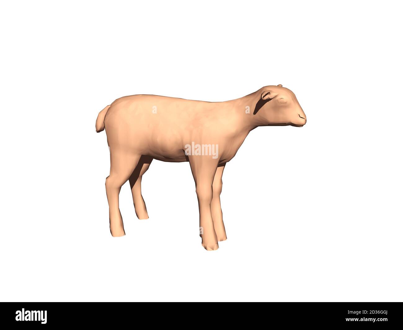 Sheep stands Cut Out Stock Images & Pictures - Alamy