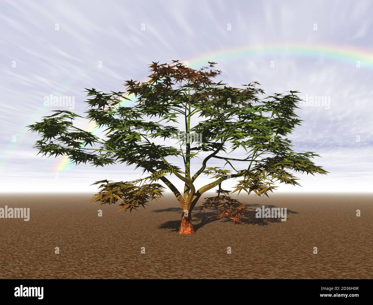 Tree with sweeping branches hi-res stock photography and images - Alamy