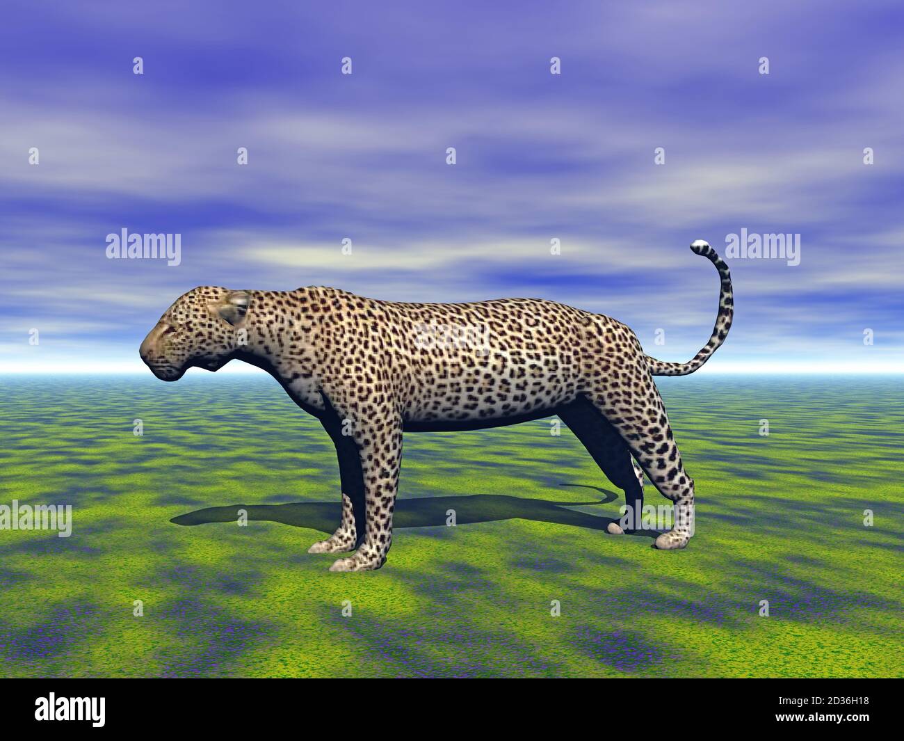 muscular leopard in the steppe Stock Photo - Alamy