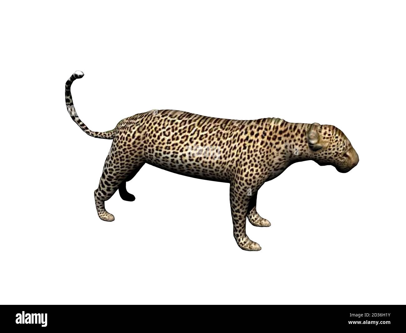muscular leopard in the steppe Stock Photo - Alamy