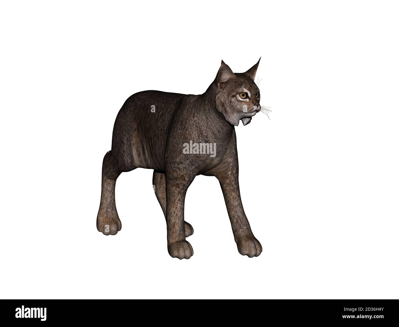 heavy muscular puma jumping Stock Photo - Alamy