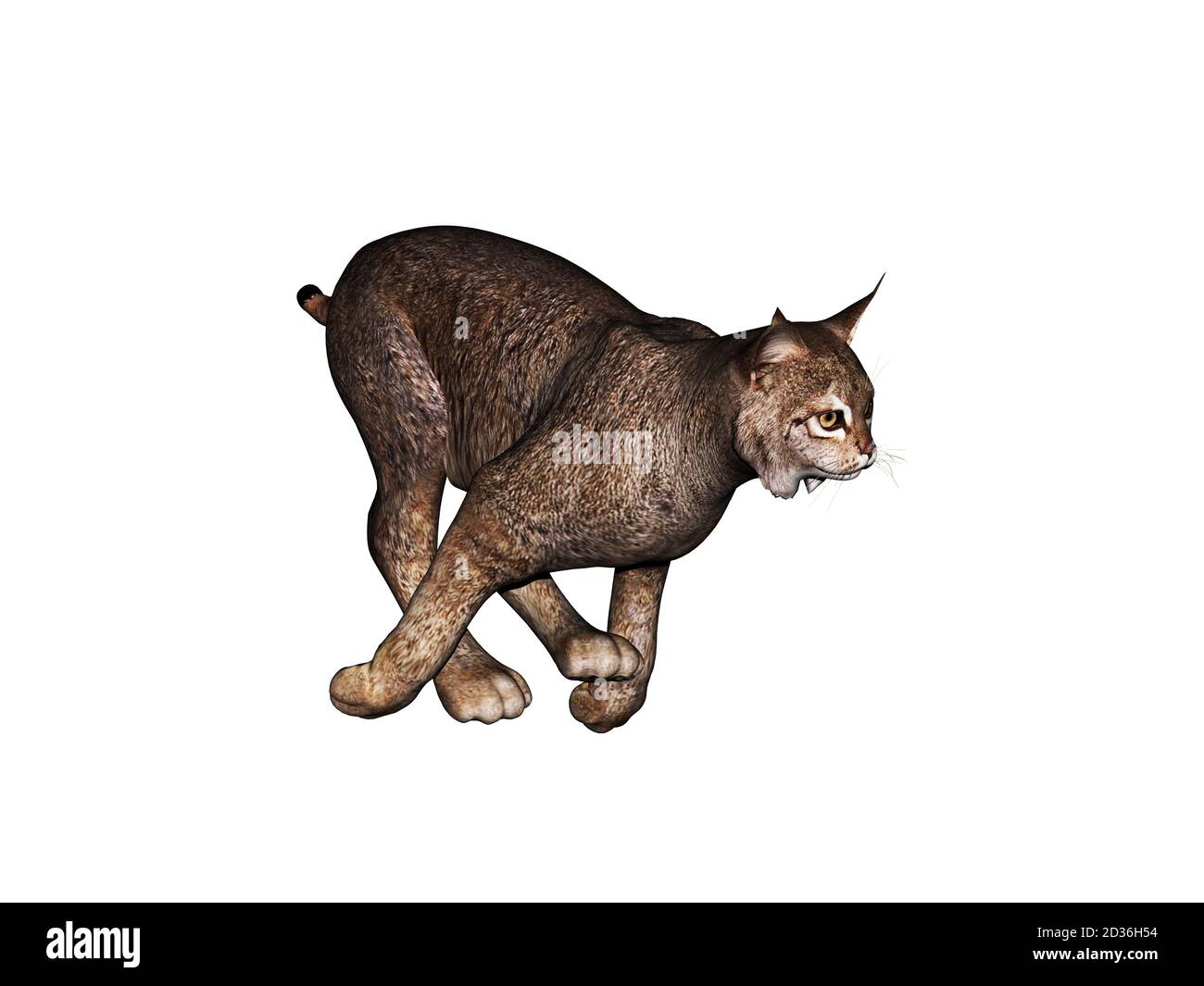 heavy muscular puma jumping Stock Photo - Alamy