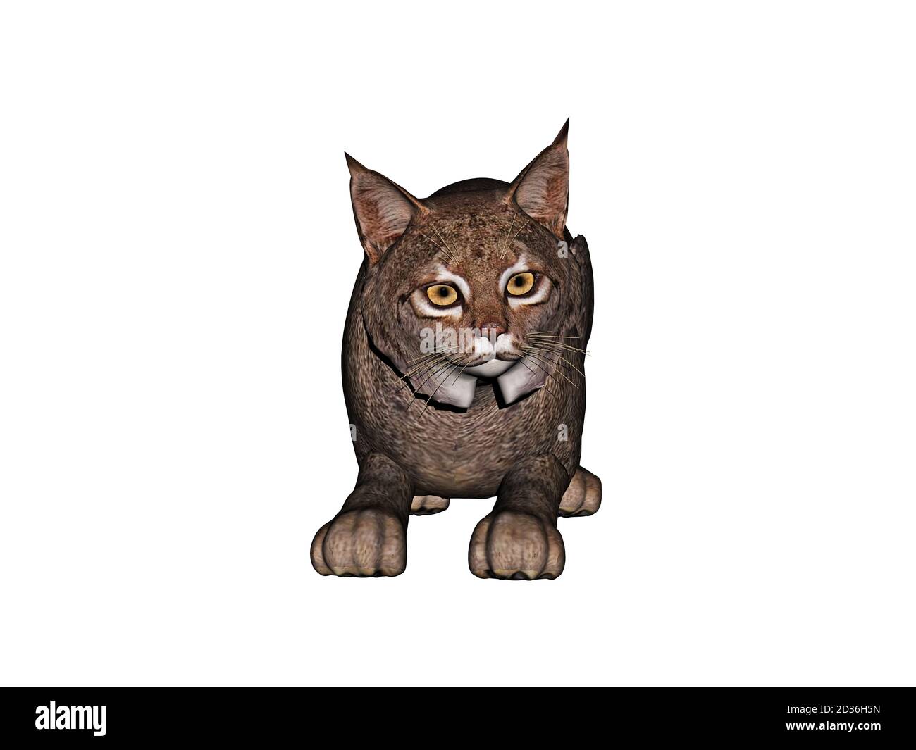 heavy muscular puma jumping Stock Photo - Alamy