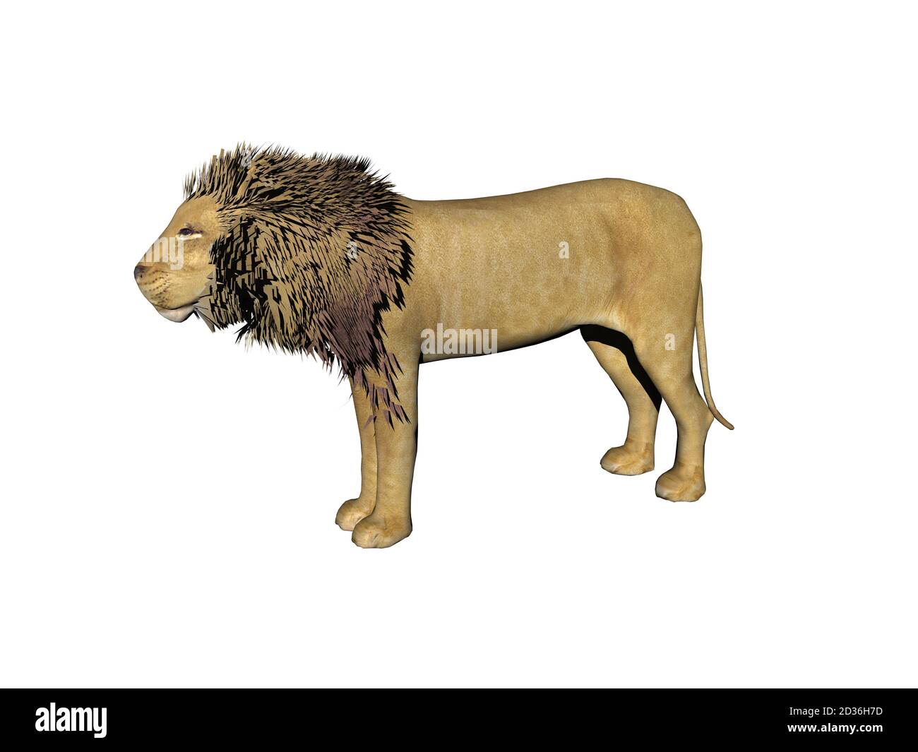 Lion mane Cut Out Stock Images & Pictures - Alamy