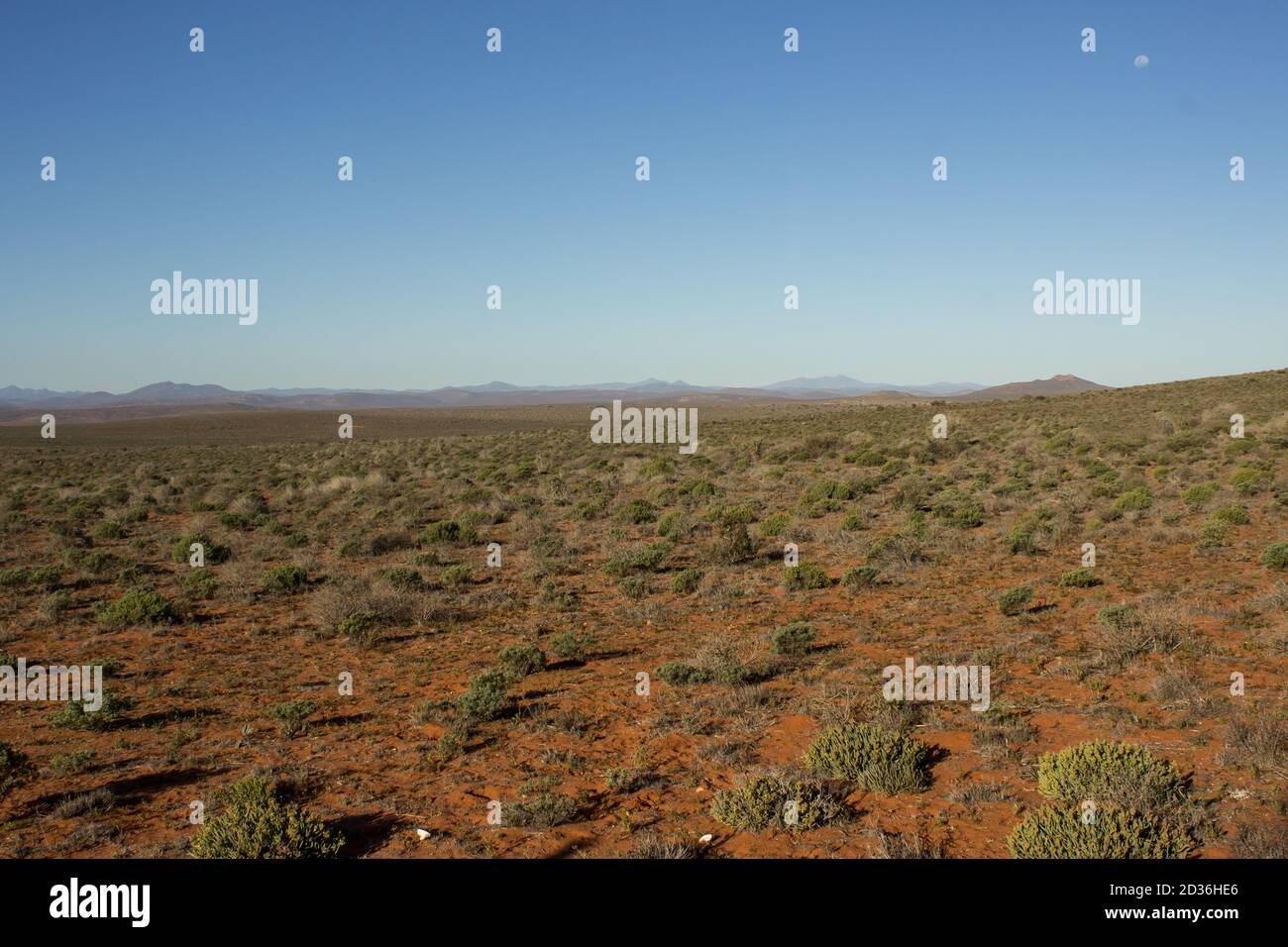 The desolate and empty plains of the Namaqua National Park, South ...