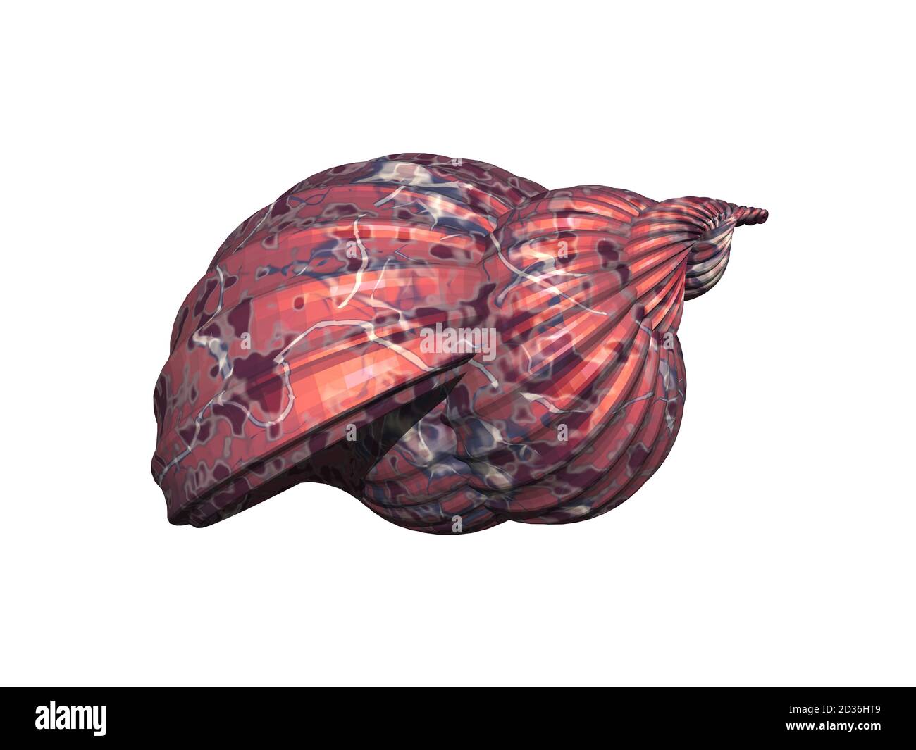 colorful snail shells twisted Stock Photo - Alamy