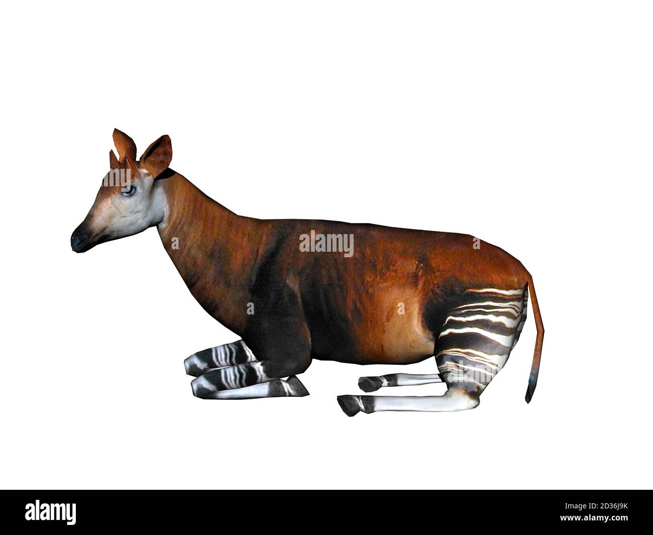 Okapi with striped legs in the steppe Stock Photo - Alamy