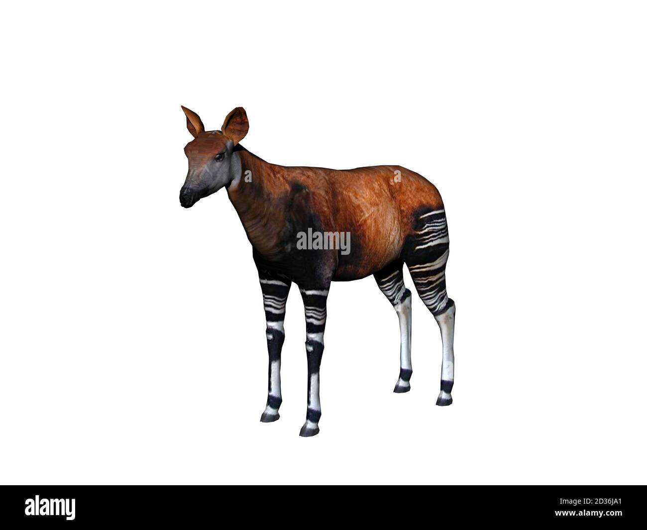 Okapi with striped legs in the steppe Stock Photo - Alamy