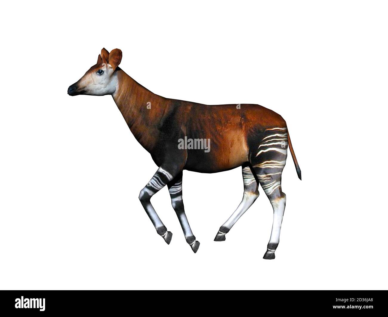 Antelope legs Cut Out Stock Images & Pictures - Alamy