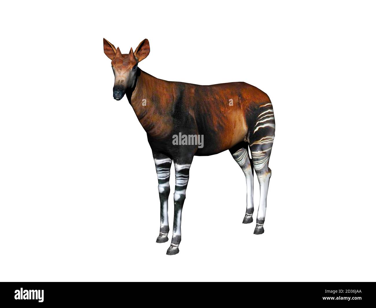 Okapi with striped legs in the steppe Stock Photo - Alamy