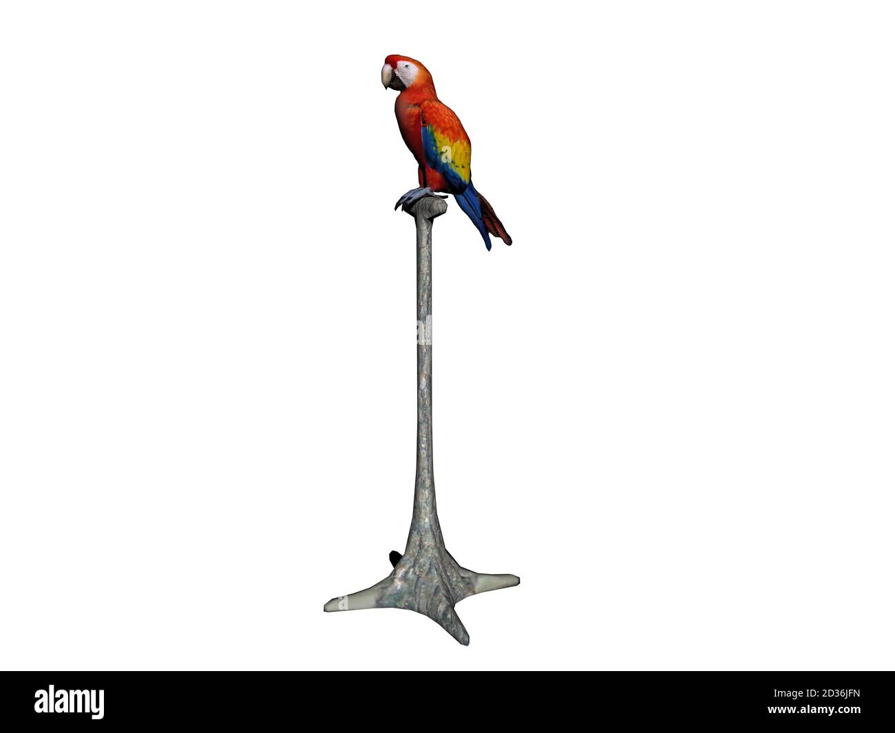 colorful parrot sits on wand Stock Photo - Alamy