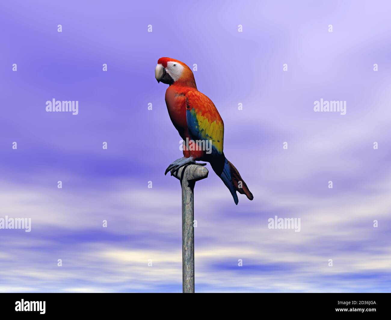 colorful parrot sits on wand Stock Photo - Alamy