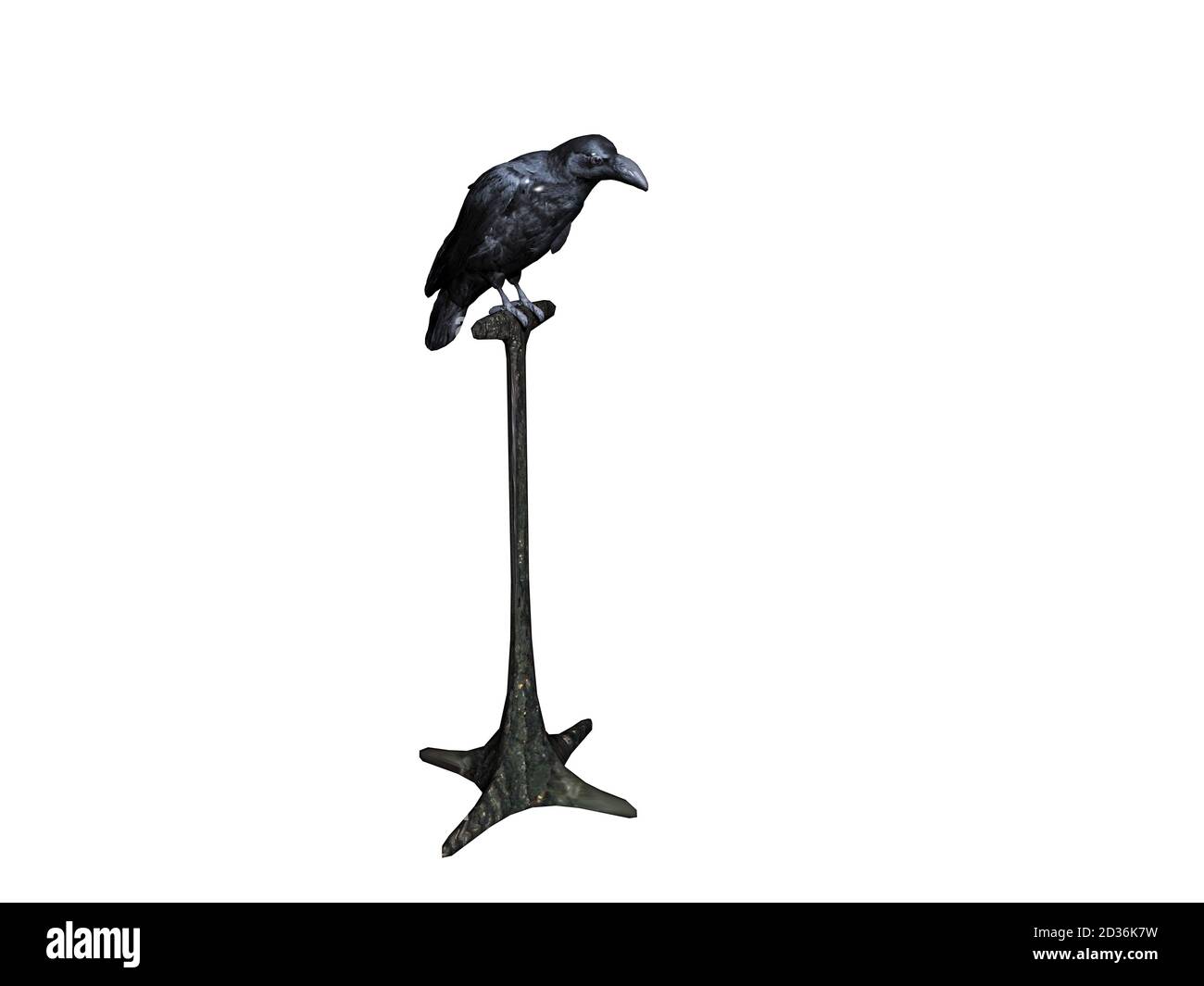 Raven on tree stump hi-res stock photography and images - Alamy