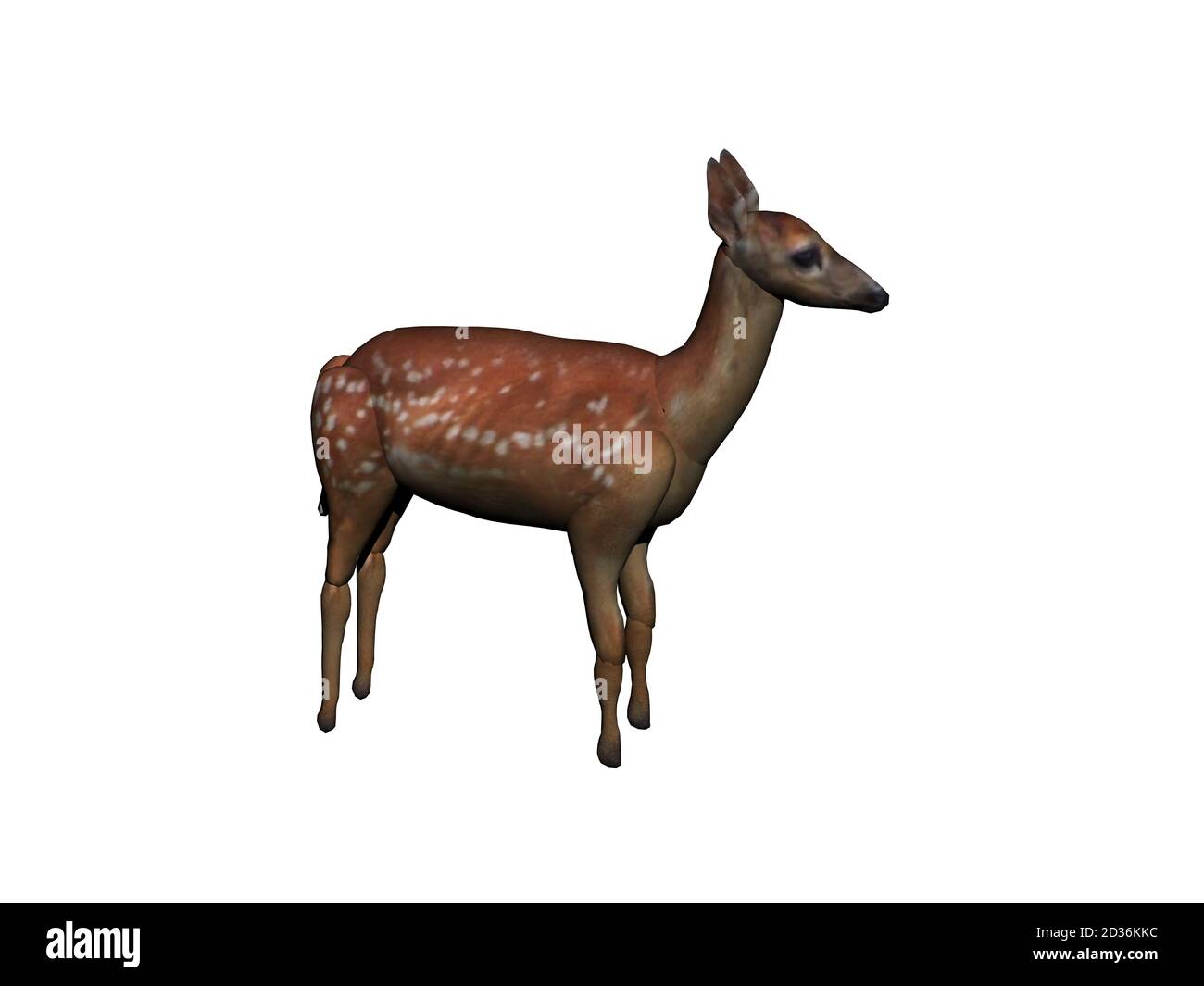 Red deer with fawn Cut Out Stock Images & Pictures - Alamy