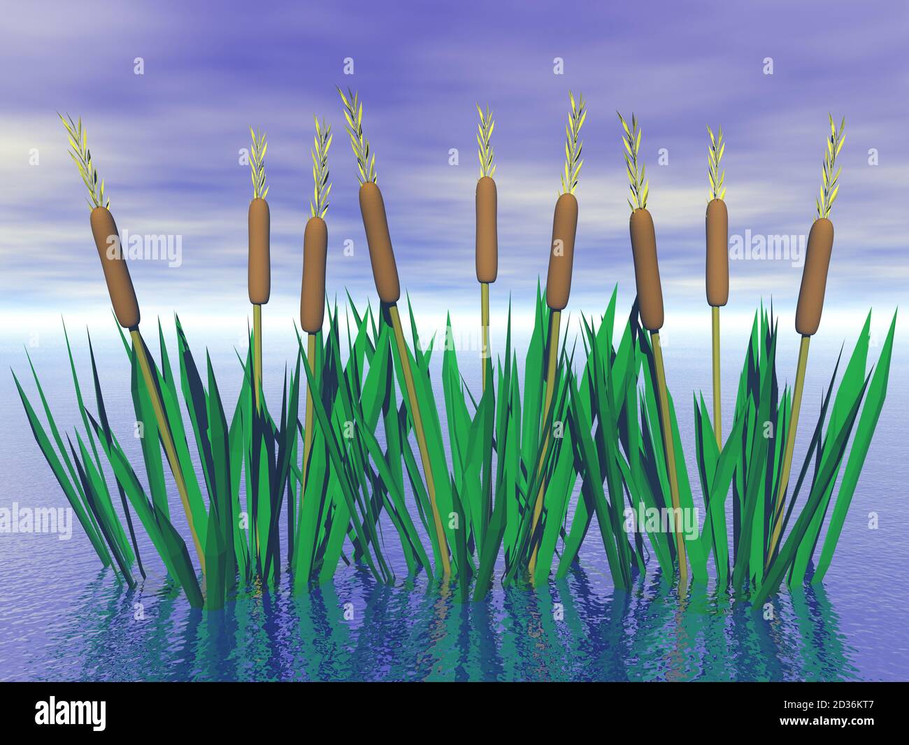 Bank plants with swamp grass and cattails Stock Photo - Alamy