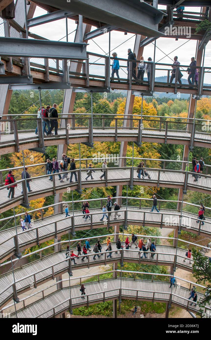 BAVARIA, GERMANY Treetop wooden forest path in the National Park ...