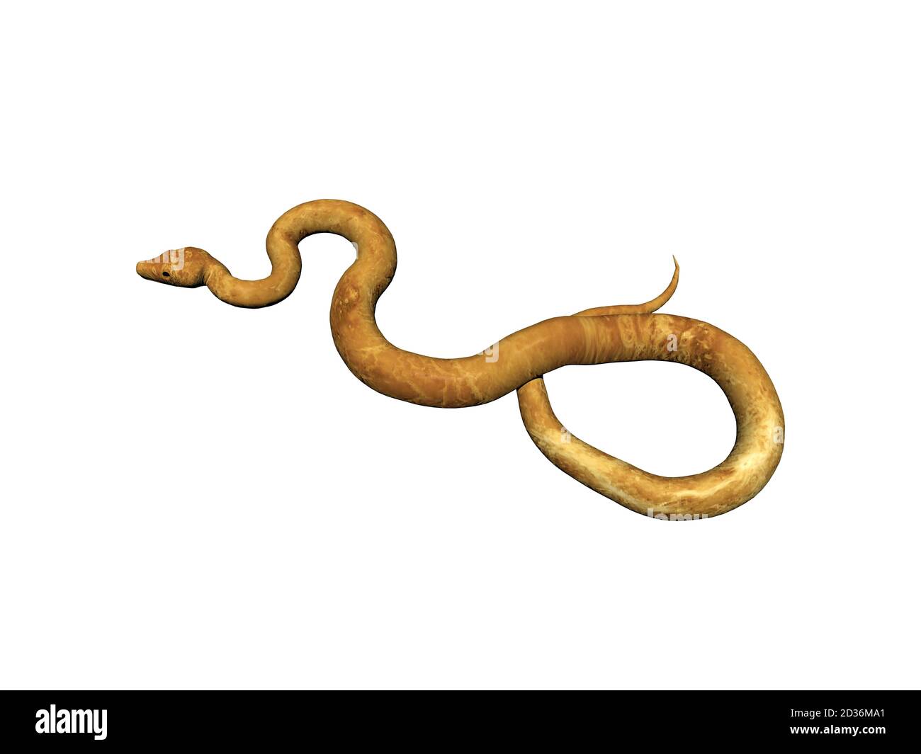 meandering snake writhing on the earth Stock Photo - Alamy