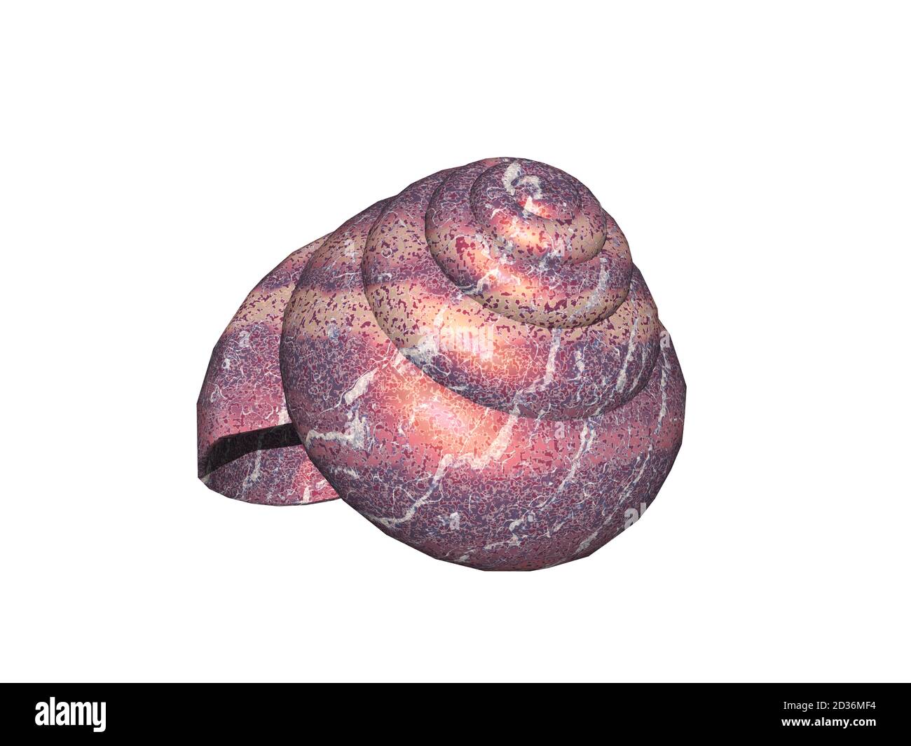 Snail turns hi-res stock photography and images - Alamy