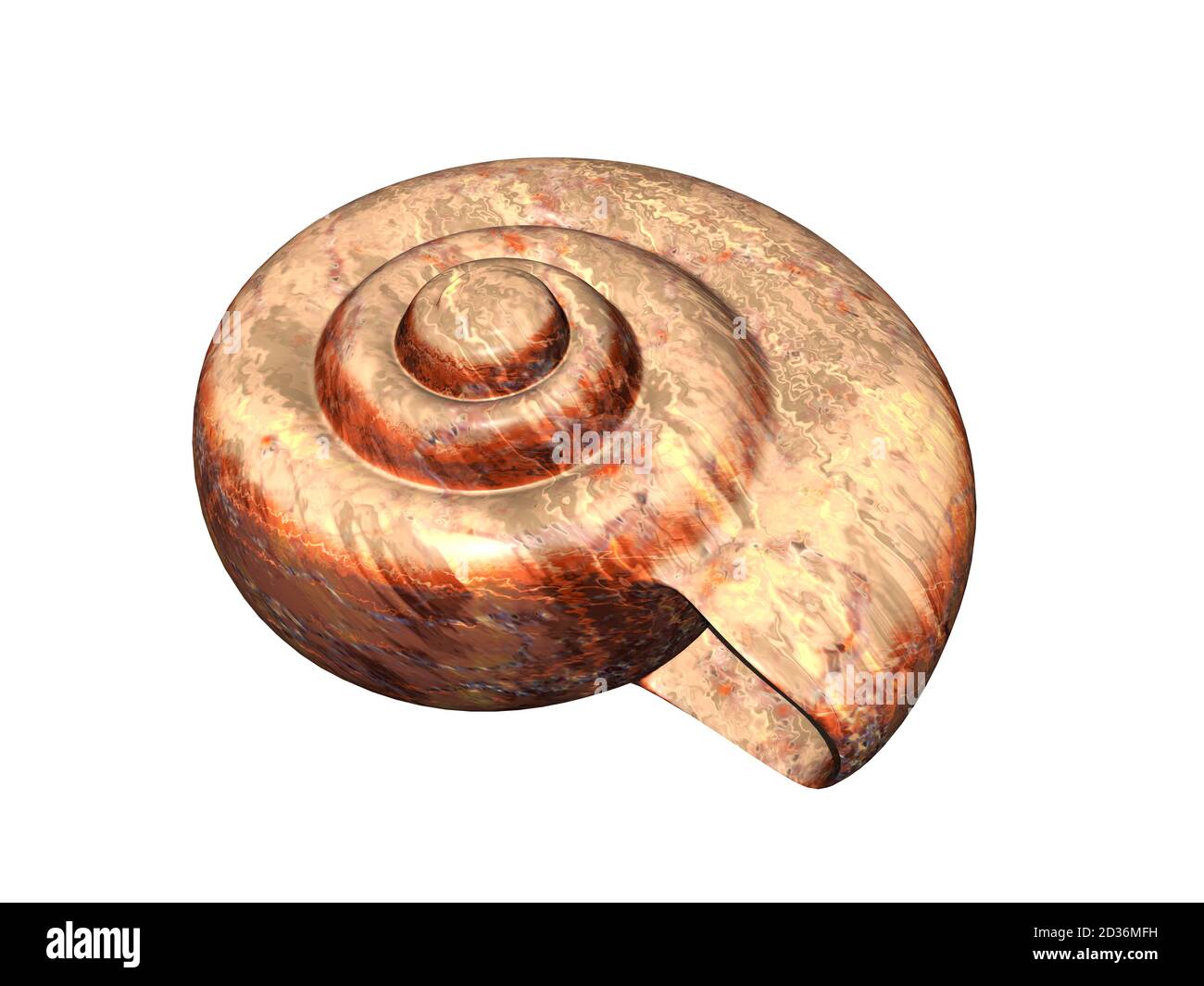 Snail house of a snail Stock Photo - Alamy