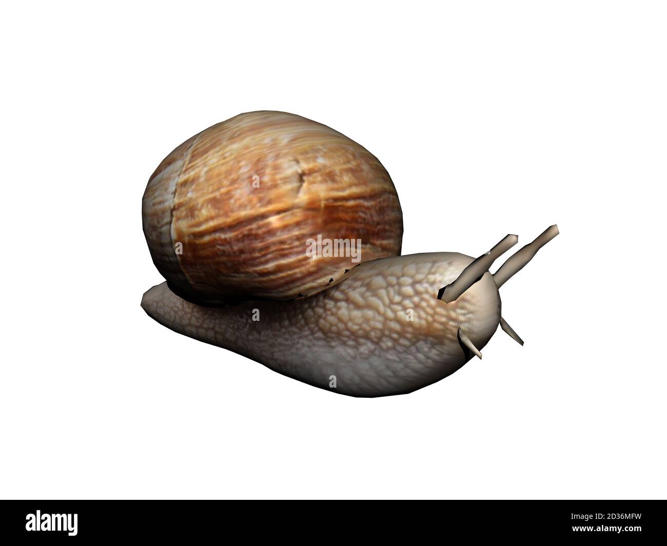 Snail with feelers and housing Stock Photo - Alamy