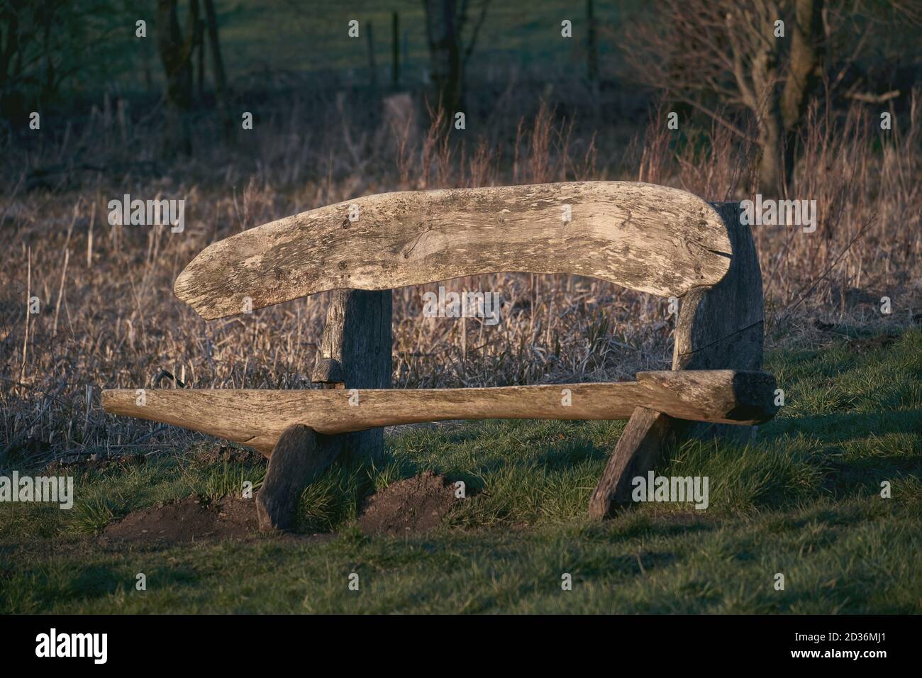 An unusual shaped wooden bench illuminated by a sunset sun in a public ...