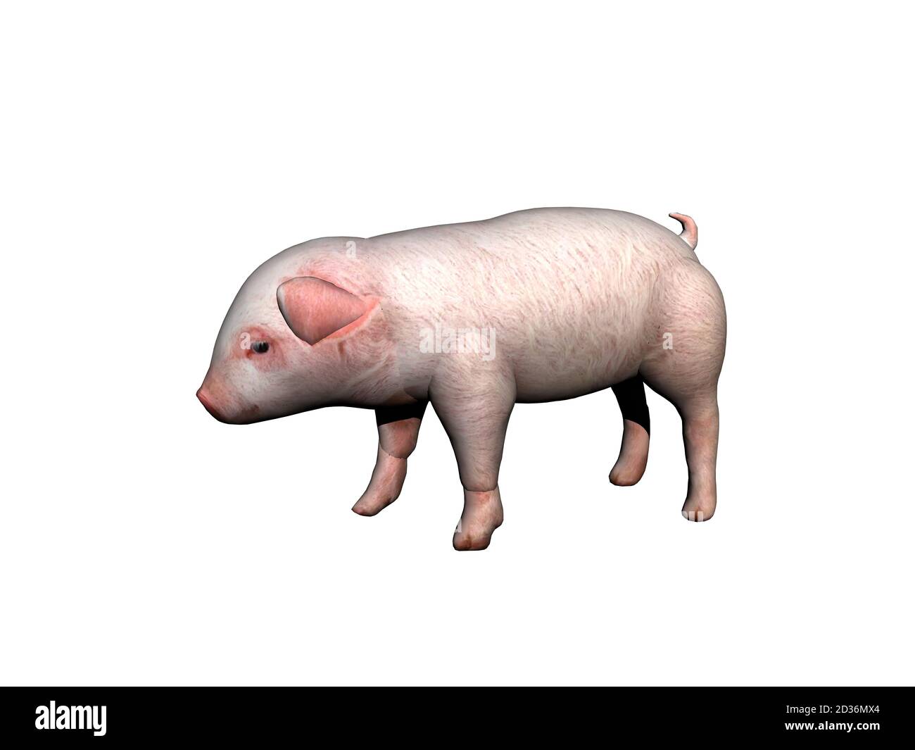 Piglet farm Cut Out Stock Images & Pictures - Alamy