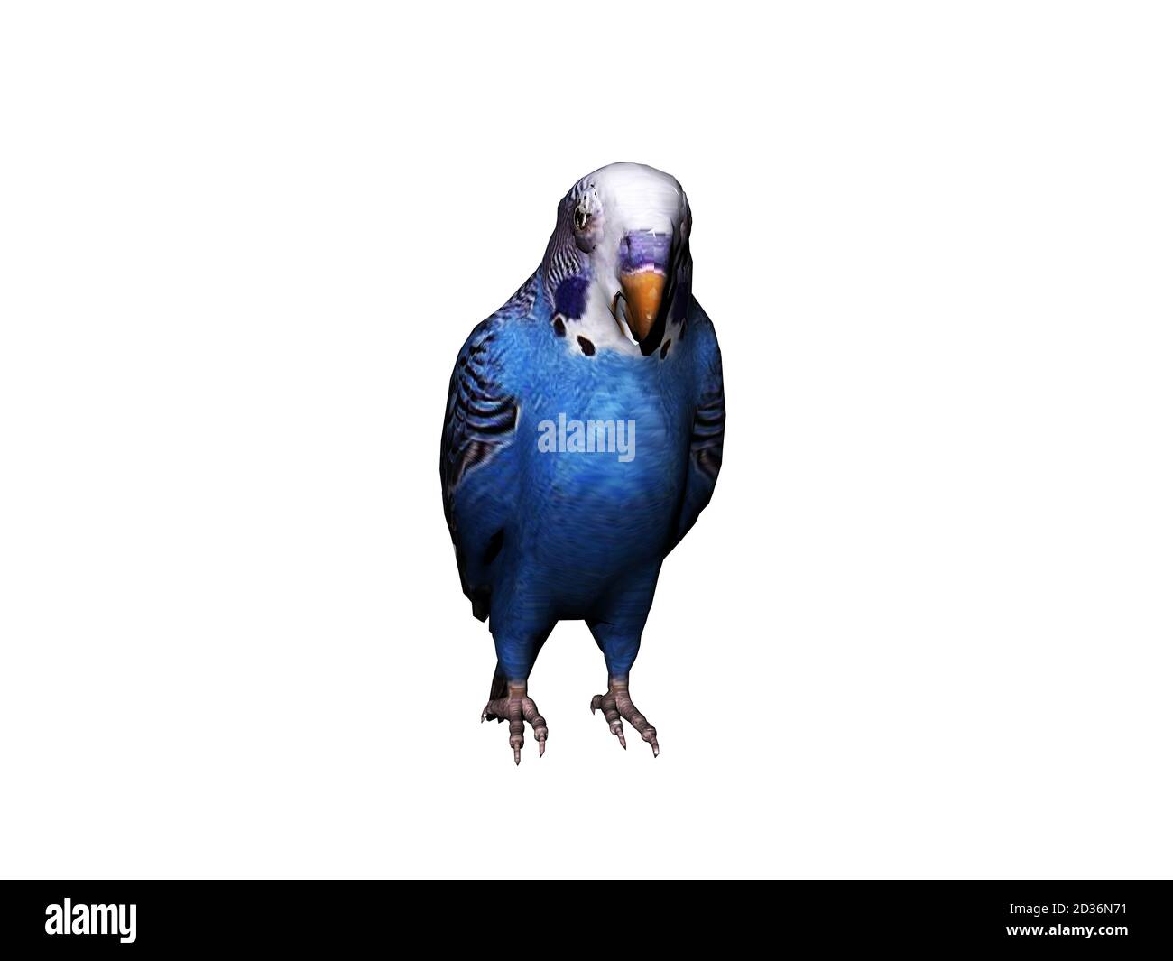 Warbles hi-res stock photography and images - Alamy