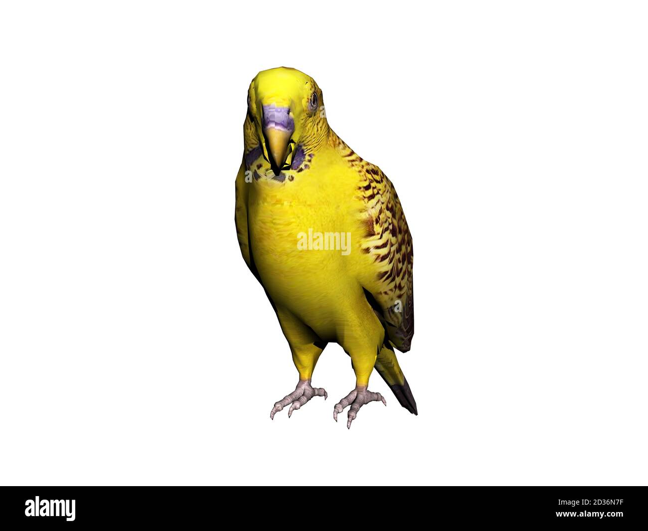 Warbles hi-res stock photography and images - Alamy