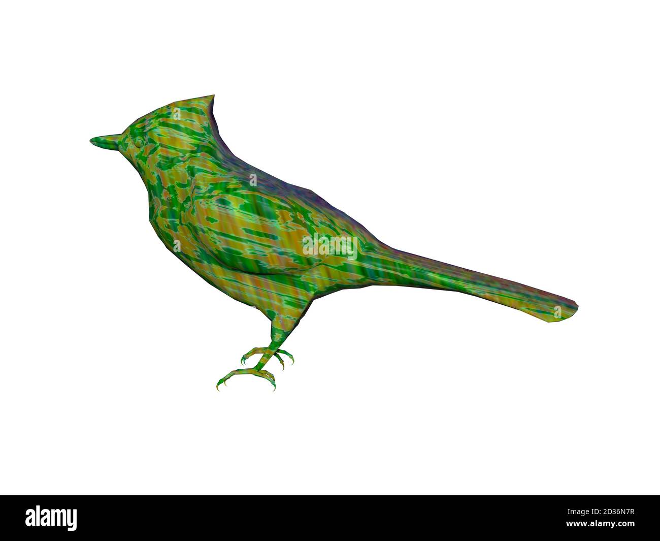 little bird on thin legs Stock Photo - Alamy