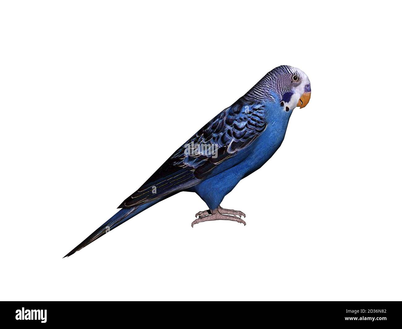 colorful canary sits and warbles Stock Photo - Alamy