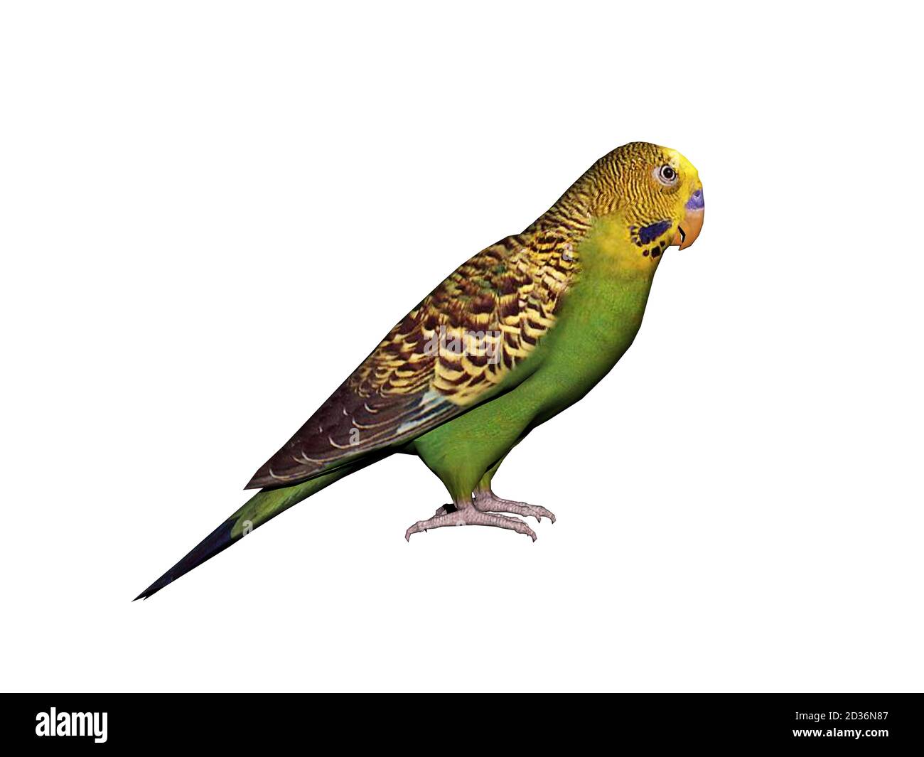 Warbles hi-res stock photography and images - Alamy