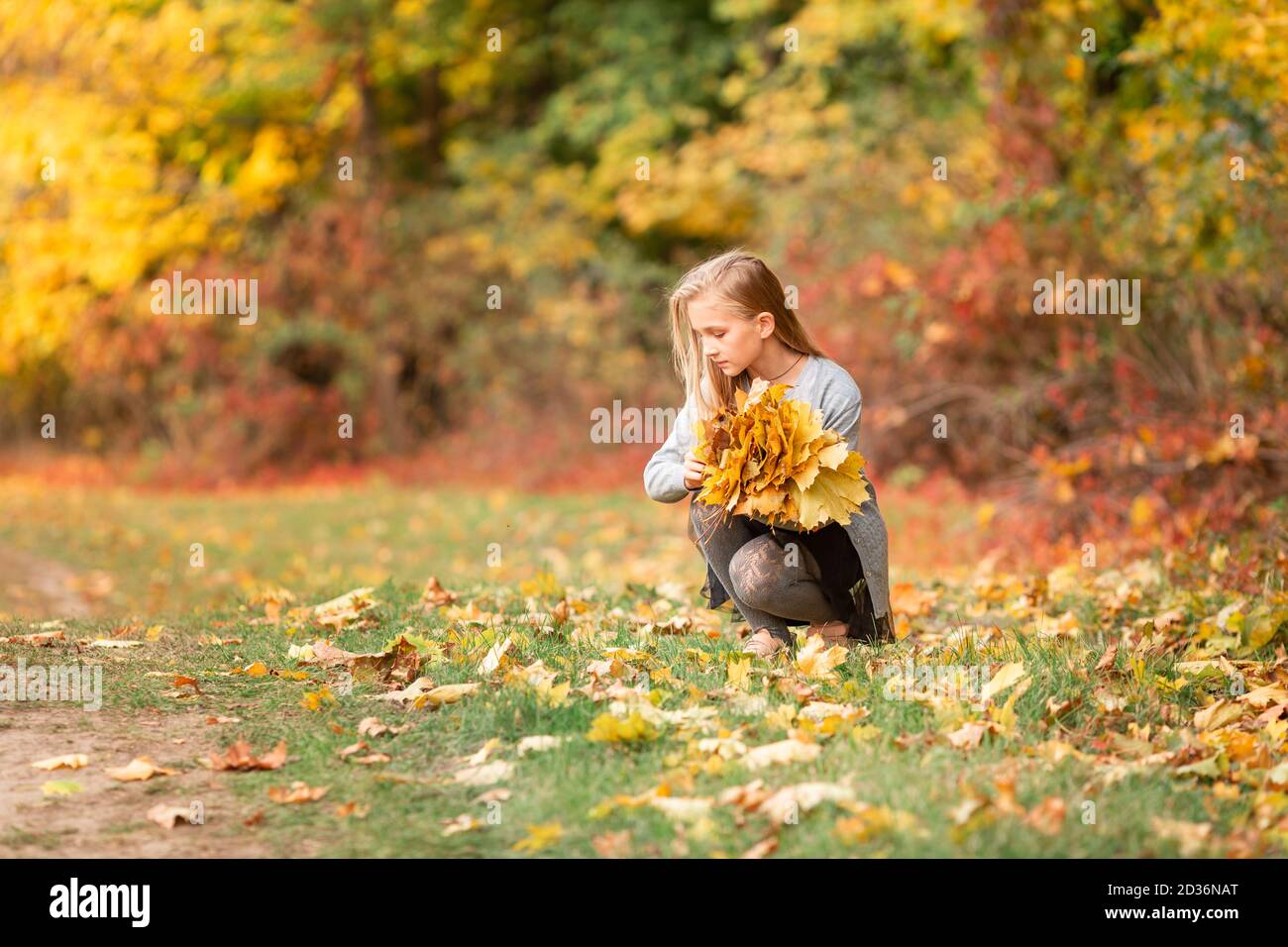 Beautiful little girl gathering autumn leaves in the park outdoor Stock ...