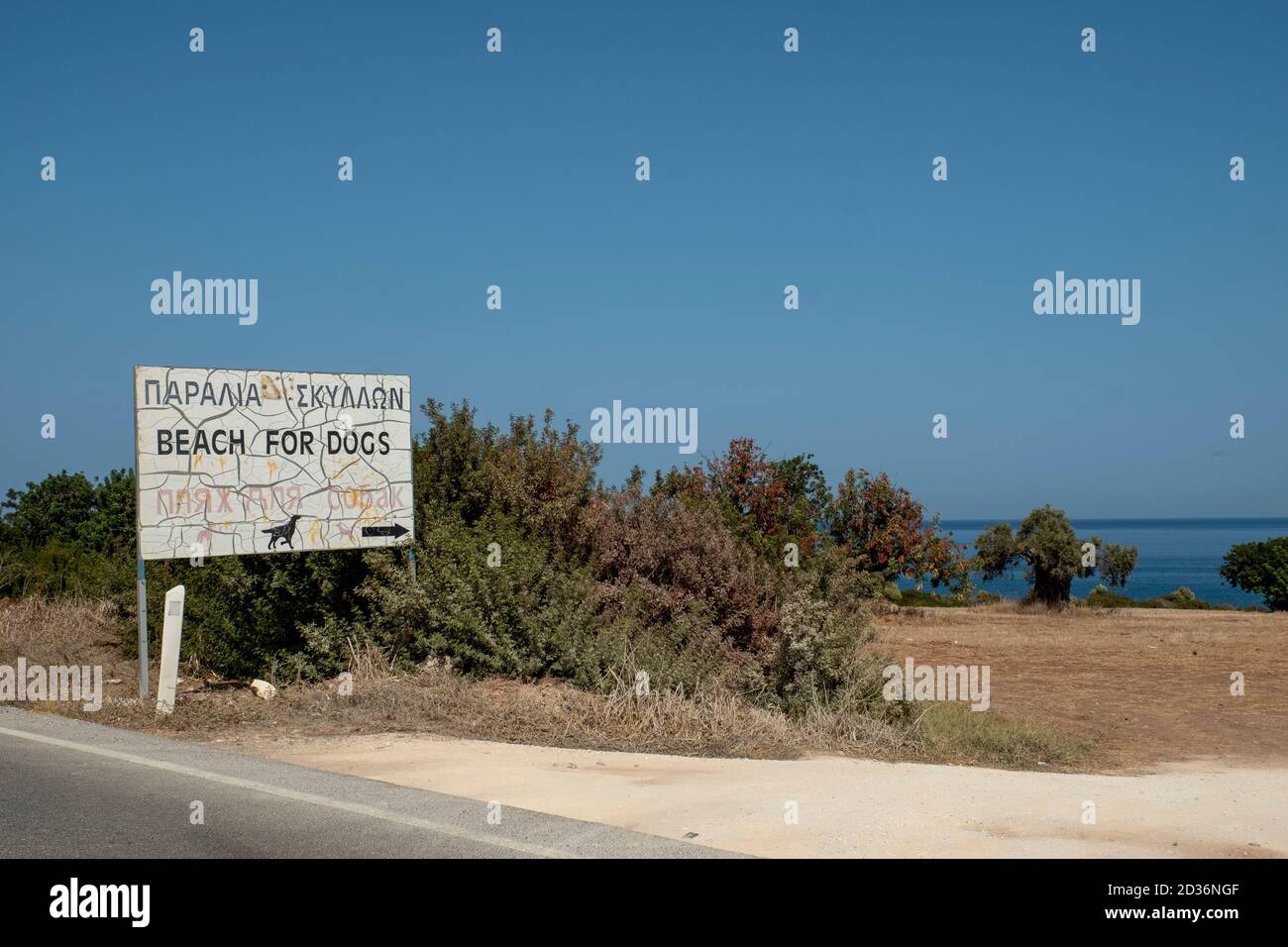 Beach for dogs, Chrysochous Bay, Latchi, Cyprus Stock Photo - Alamy